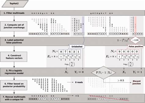 Finesplice Enhanced Splice Junction Detection And Quantification Rna Seq Blog