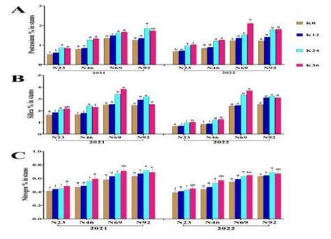 Figure 1 From Effect Of Potassium Fertilization Levels On Rice Yield Yield Attributes And Rice