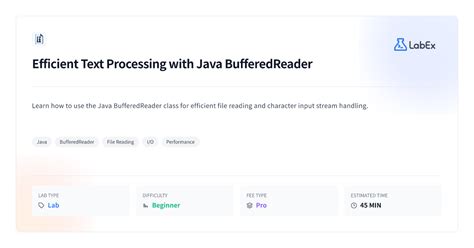 Java Bufferedreader Tutorial Efficient File Reading Labex