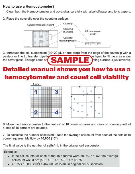 Buy Rs Science Improved Neubauer Hemocytometer Kit With Trypan Blue