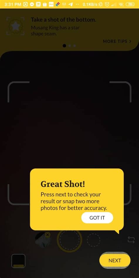 position of the showcase withwidget is different on iphone 11 · issue 57