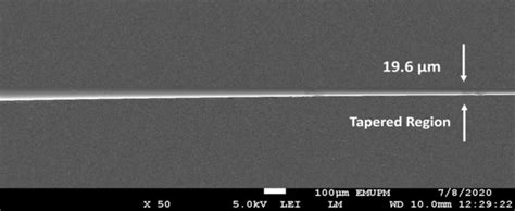 Scanning Electron Microscopy Sem Micrograph Of A Tapered Multimode