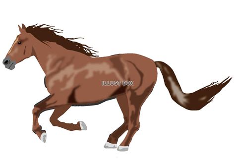 無料イラスト 疾走（馬）