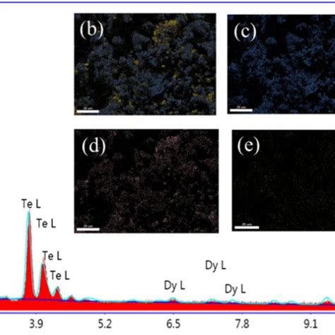 Eds A And Element Mapping Bf Of Li3bi3te2o12002dy³⁺ Sample Download Scientific Diagram
