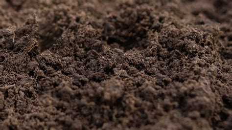 For Australian Farmers Soil Is Their Most Important And Valuable Asset