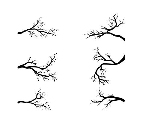 Set Of Tree Branch In Silhouette Vector Art At Vecteezy