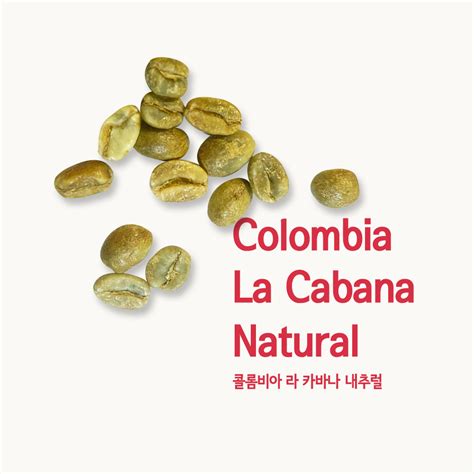 생두 콜롬비아 엘 카르멘 라 카바나 카투라 내추럴