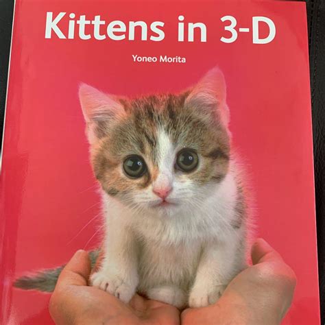 かわいい猫ちゃんの写真がいっぱい メルカリ