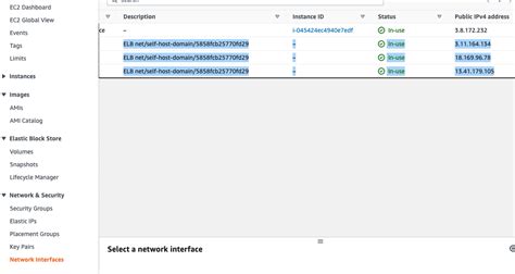 How To Self Host A Domain Optizmo