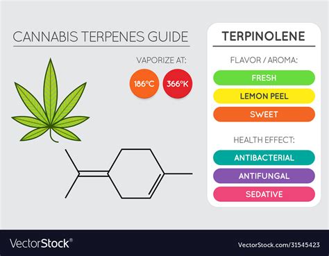 Cannabis Chart