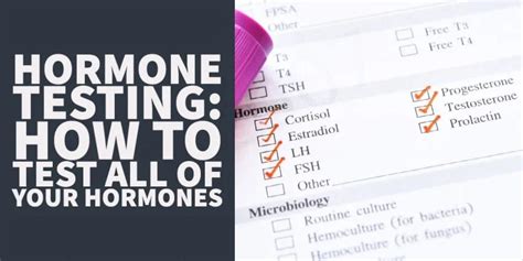 Hormone Testing Tests For Thyroid Adrenals And Sex Hormones
