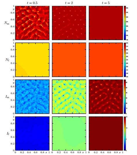 Numerical Solution Of A Spatio Temporal Gender Structured Model For