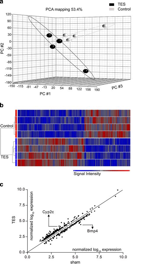 differential expression levels of transcripts in tes versus sham a download scientific
