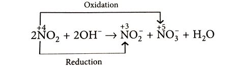 What Is Disproportionation Reaction With Example At Maddison Pickworth Blog