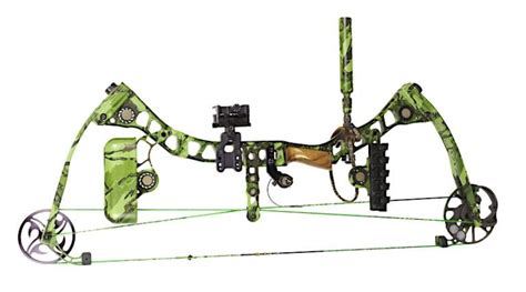 Dual Cam Vs Single Cam Which Compound Bow To Choose
