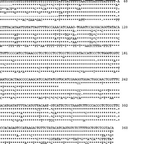 Multiple Sequence Alignment Of The Dna Segment Inserted In The 19th Download Scientific Diagram