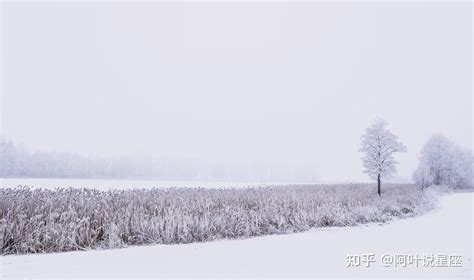 不安分，不妥协，与众不同的星座，你的沉默，震耳欲聋，活出强大 知乎