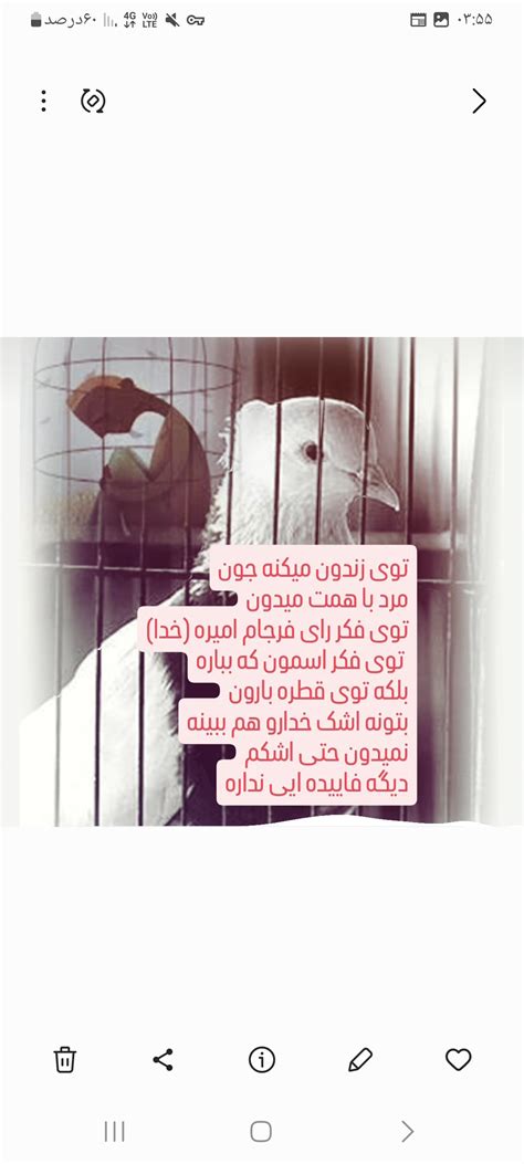 آهنگ غمگین سیاوش قمیشی طرفداری