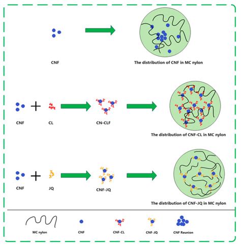 Polymers Special Issue Advances In Cellulose Based Polymers And Their Composites