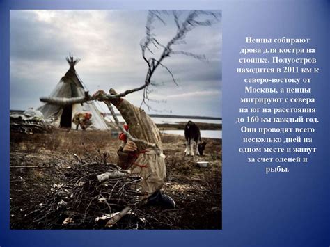 Народы Сибири презентация онлайн