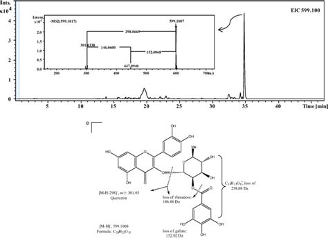 Extracted Ion Chromatogram Eic Together With The Fragmentation Download Scientific Diagram