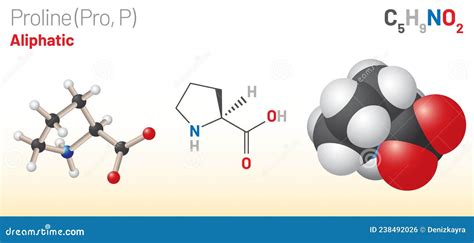 Prolina Pro P Molécula De Aminoácidos Proteinogénicos C5h9no2