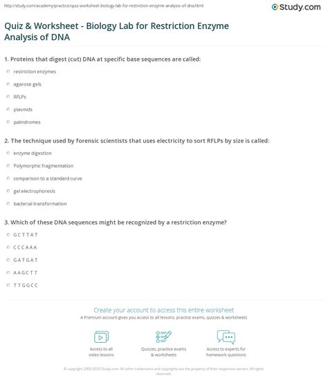 Quiz And Worksheet Biology Lab For Restriction Enzyme Analysis Of Dna