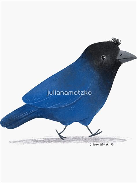 Azure Jay Bird Sticker For Sale By Julianamotzko Redbubble