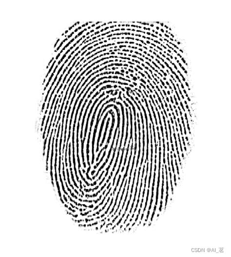 Python：探索高效、智能的指纹识别技术（简单易懂）索引内容指纹文件匹配 Python Csdn博客