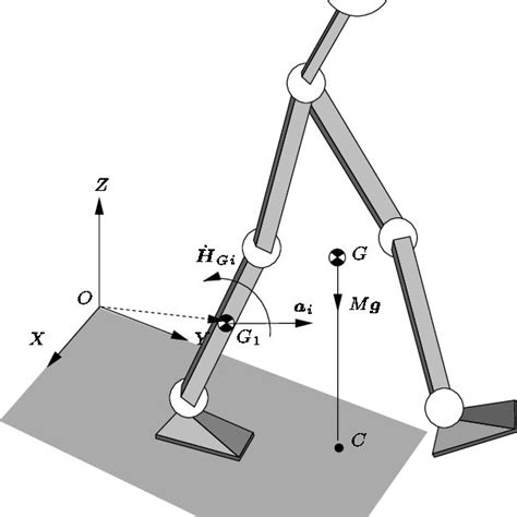 Biped Robot Foot Artiicially Disconnected To Show The Intervening Download Scientific Diagram