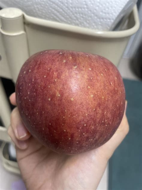 다이어트 클럽 다이어트에는 사과 사과 Daum 카페