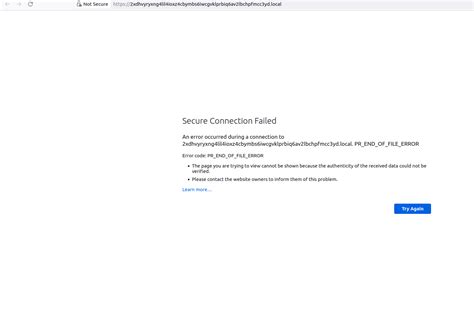 Bug Error Code Prendoffileerror Using Embassyos With Lnbits