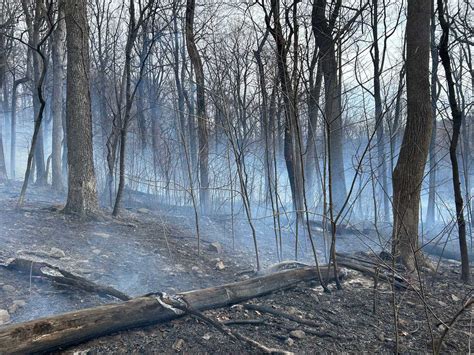 wind driven wildfire scorches 20 acres in northern maryland before