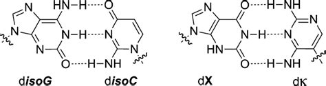 Figure 1 From The Expanded Genetic Alphabet Semantic Scholar