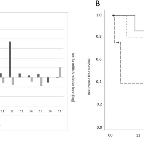 Quantitative Rt Pcr Analysis Accr7 Expression In Kyse Cell Lines B