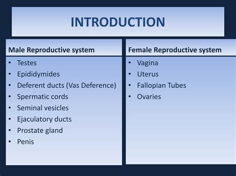 Reproductive System Pptx