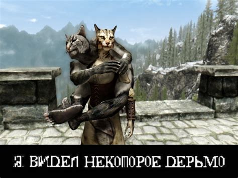 Skyrim The Elder Scrolls я видел некоторое дерьмо фэндомы картинки гифки прикольные