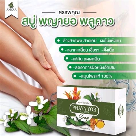 สบู่พญายอ พลูคาว สมุนไพร ขนาด110กรัม Shopee Thailand