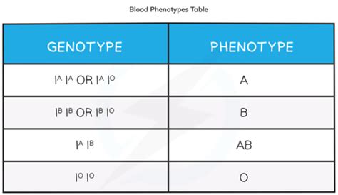 Reproduction And Inheritance Flashcards Quizlet