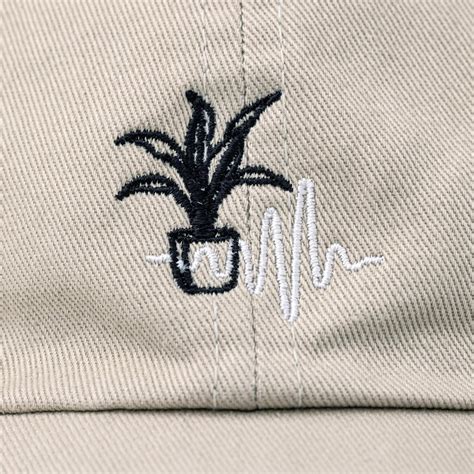 Graph A Wave Hat Oak Plantwave