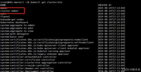 08 Kubernetes可视化界面与daemonsetkubernetes 界面 Csdn博客