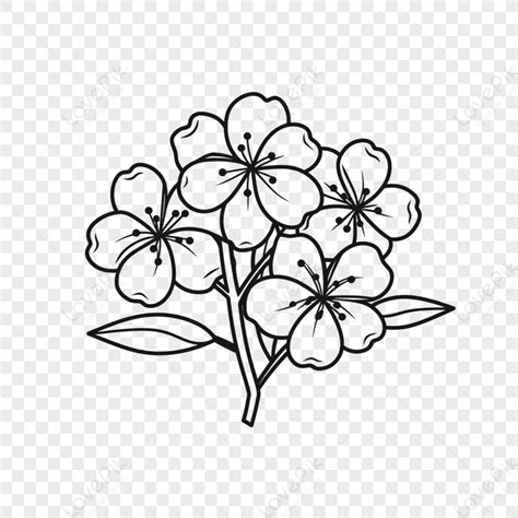 꽃 개요 스케치의 흑백 드로잉 벡터 창작 예술 라인 아트 Png 일러스트 무료 다운로드 Lovepik