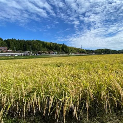 7t5hhide Hide57 • Threads Say More