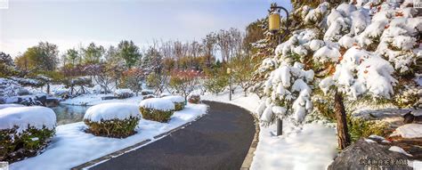 皑皑雪园，琼楼如画 润泽御府大雪初霁 搜狐大视野 搜狐新闻