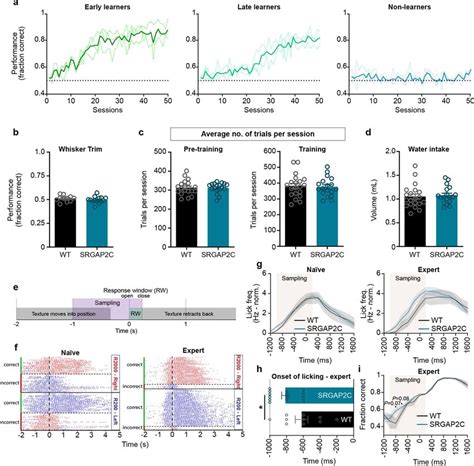 Whisker Based Texture Discrimination Task A Example Learning Curves