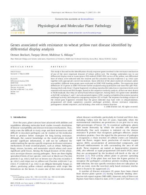 Pdf Genes Associated With Resistance To Wheat Yellow Rust Disease Identified By Differential
