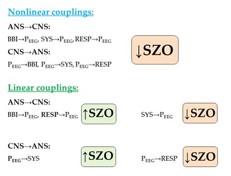 Summary Of Linear And Nonlinear Coupling Results In Schizophrenia Szo Download Scientific