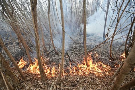 Губернатор Евгений Куйвашев отправляется в Асбест где сложилась серьезная ситуация с пожарами