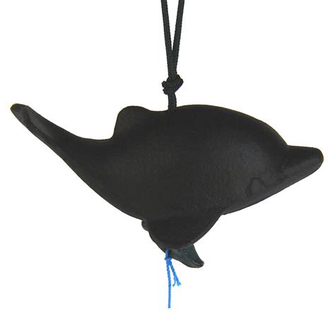 Iruka Dolphin