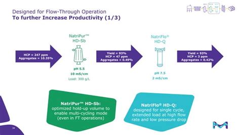 High Productivity Membrane Chromatography Enabling The Next Generation Bioprocessing Paradigm Ppt